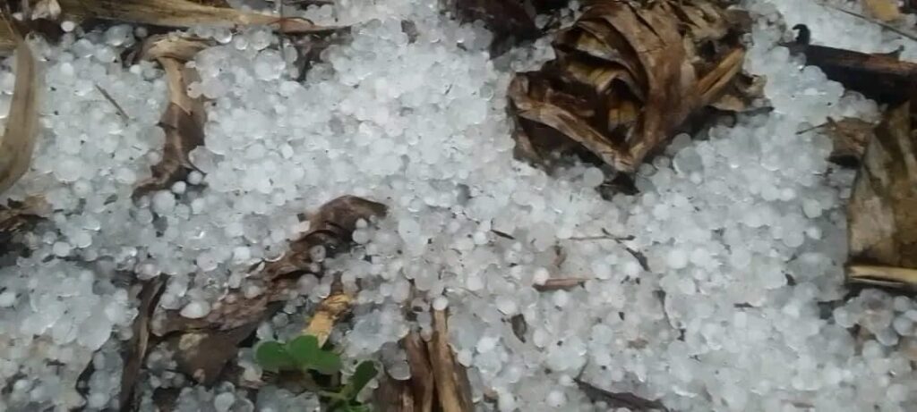 Thousands of Crops Destroyed in Cibitoke as Storm Strikes Agricultural ...
